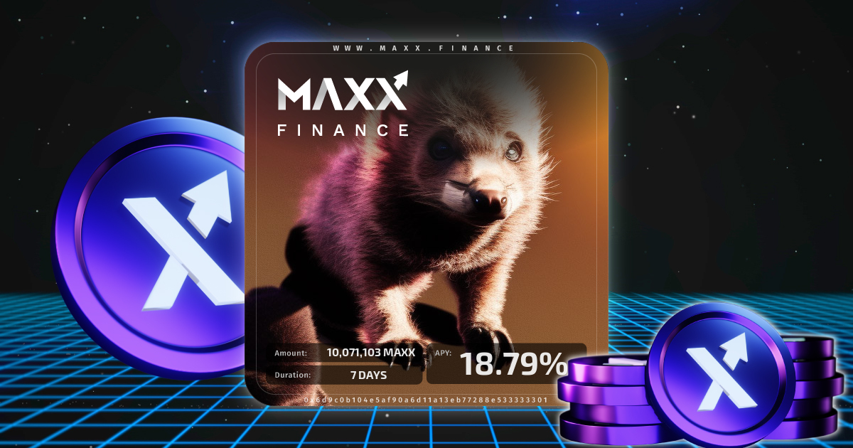 MAXX | Stake Explorer